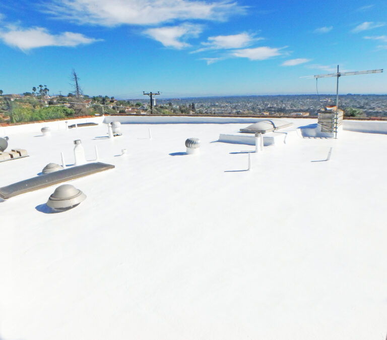 Pricing An Ecodur Roof Coating Project - Castagra